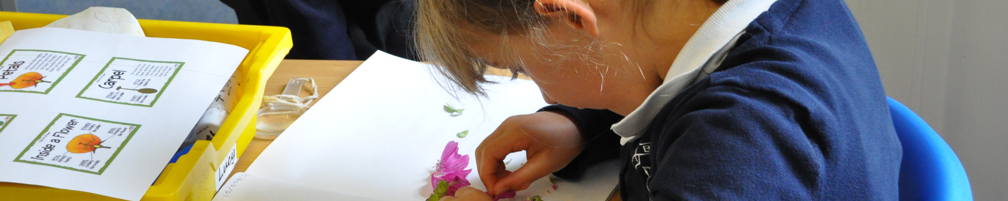 Ethos & Values – Burbage Primary School